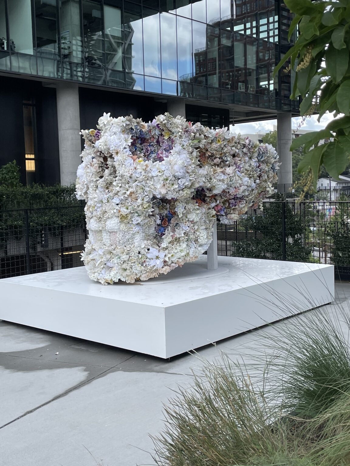 Director Joseph Peragine and Professor Mary Hallam Pearse collaborate ...